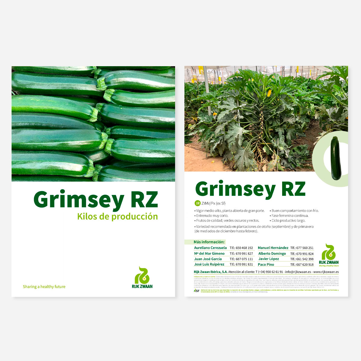 Calabacín Grimsey de Rijk Zwaan - Kilos de producción