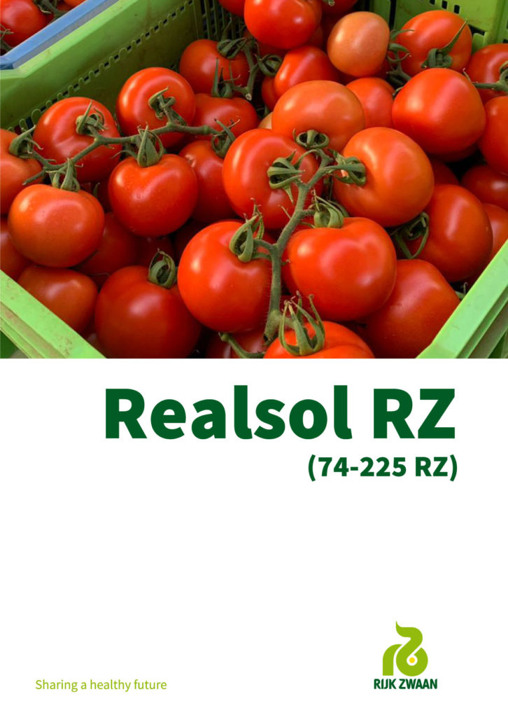 Información sobre la variedad de Tomate Realsol RZ (74-225)