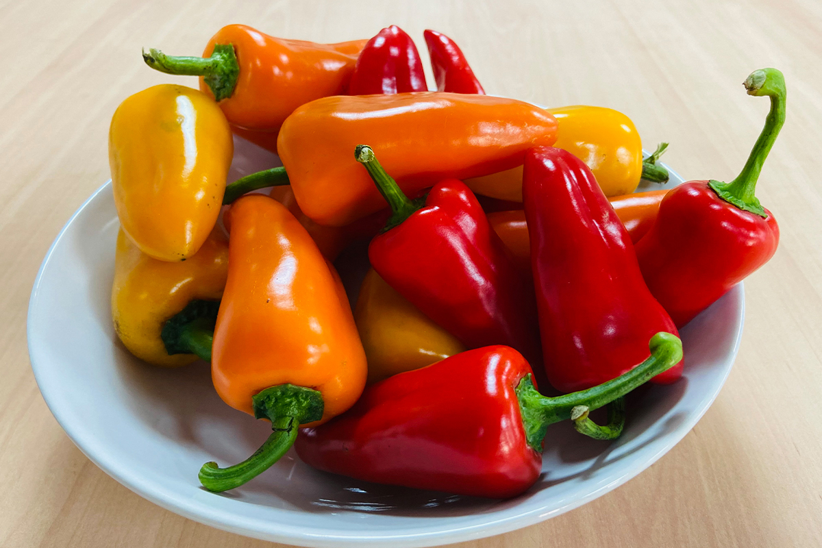 Pimientos Snack - Innovamos Juntos RZ