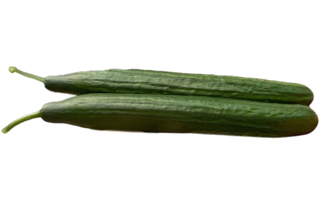 Pepino Gelido RZ resistente a CGMMV y oídio - Innovamos Juntos RZ